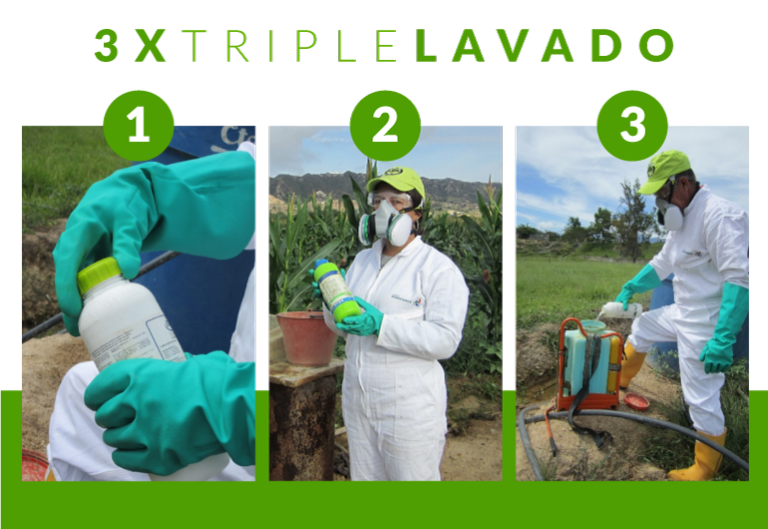 Devolución Envases Vacíos de Plaguicidas de Uso Agrícola – Fundación ...